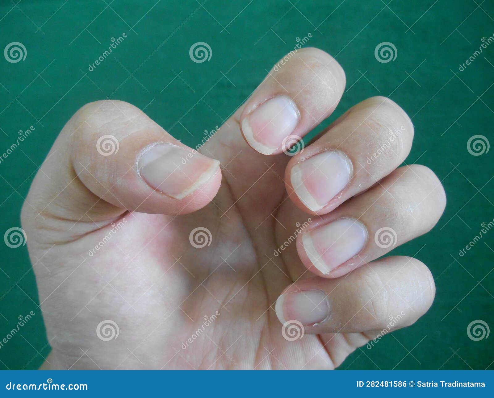 Left Hand Fingers with Long but Clean Nails Stock Photo - Image of ...
