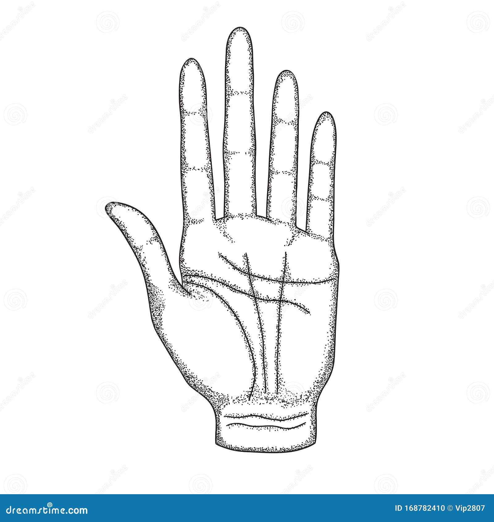 The Left Hand of a Man with Lines. Vector Illustration in Vintage Style ...