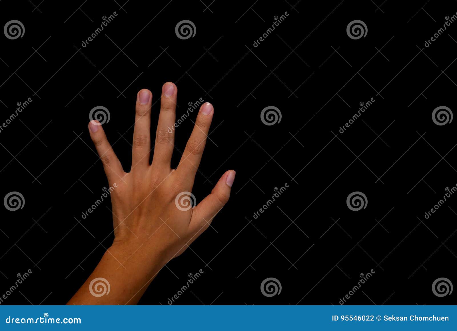 Left Hand of Man Open the Palm Stock Photo - Image of male, confidence ...