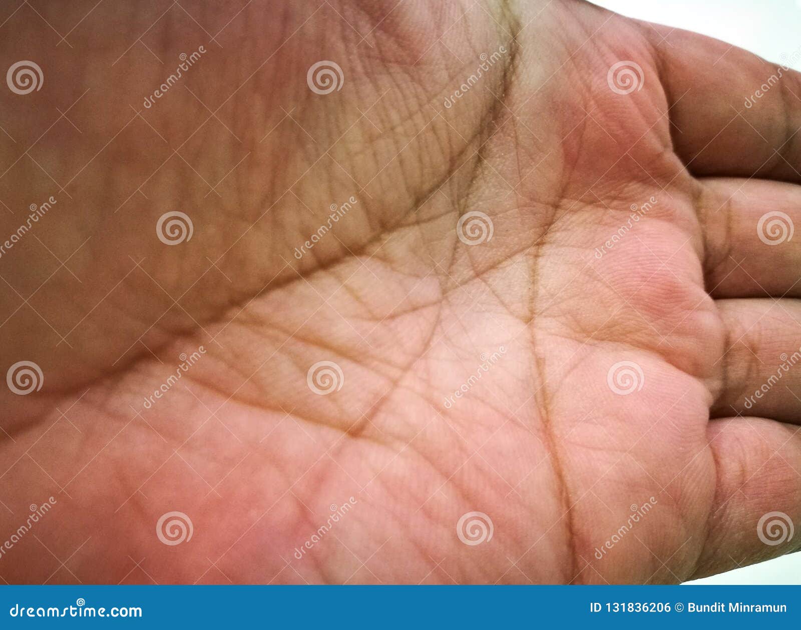A Left Hand Palm Patterns in Close Up. Stock Photo - Image of element ...