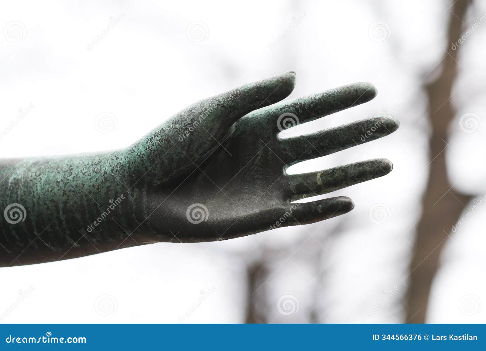 Left Hand Full Posterior Dorsal View Royalty-Free Stock Photography ...