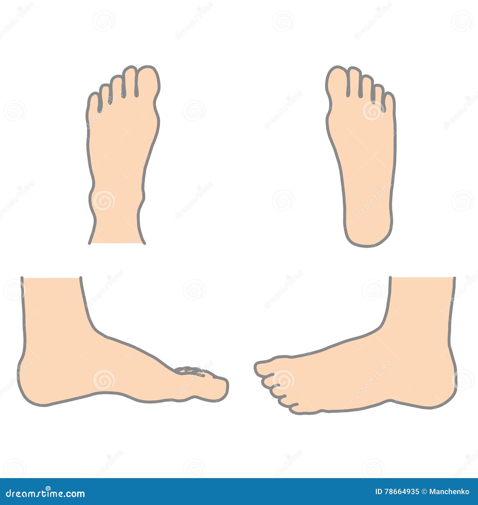Left human foot stock vector. Illustration of foot, human - 78664935