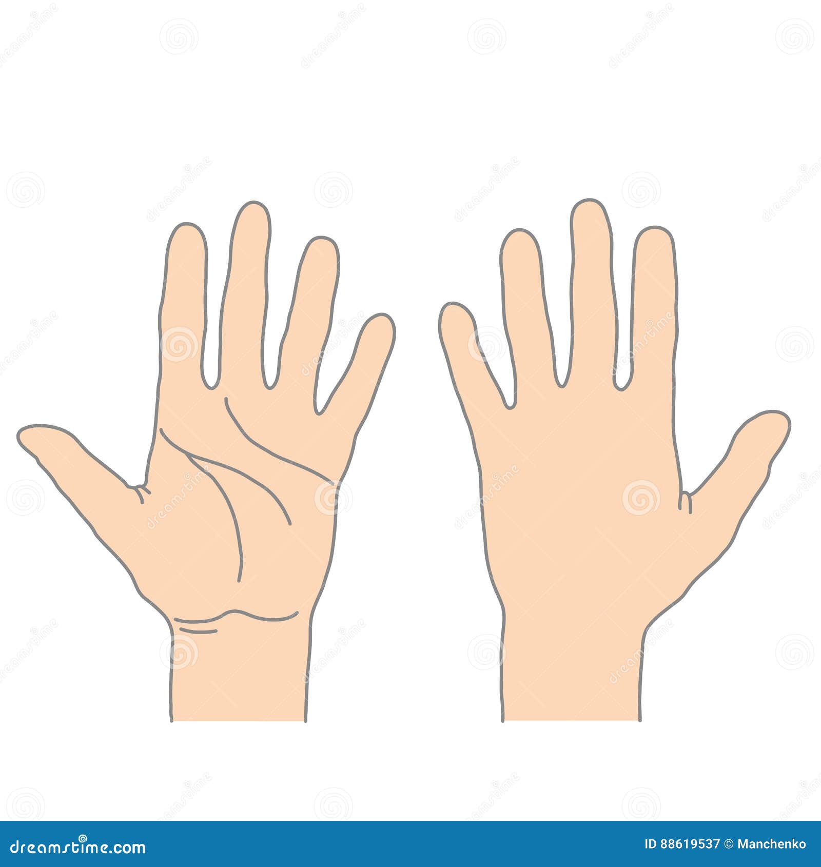 Human Palm With Palmistry Symbols Cartoon Vector | CartoonDealer.com ...