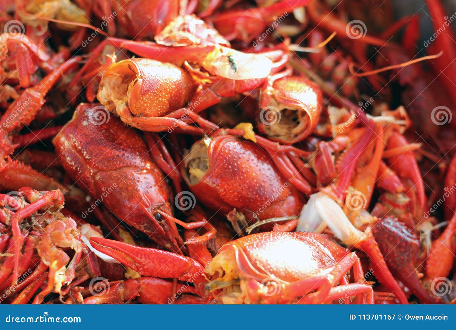 Left Over Crawfish Heads after Feasting on Boiled Crawfish. Stock Image ...