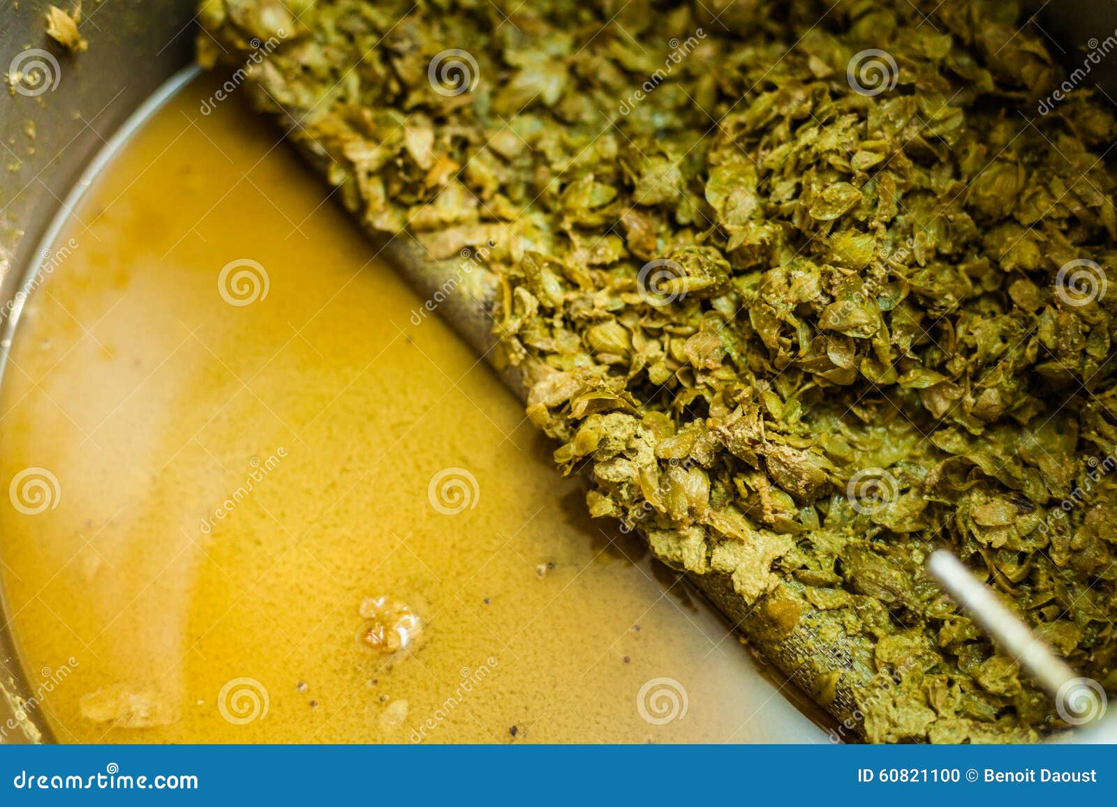 Left-Overs of Hops and Essential Oils of the Mash Stock Photo - Image ...