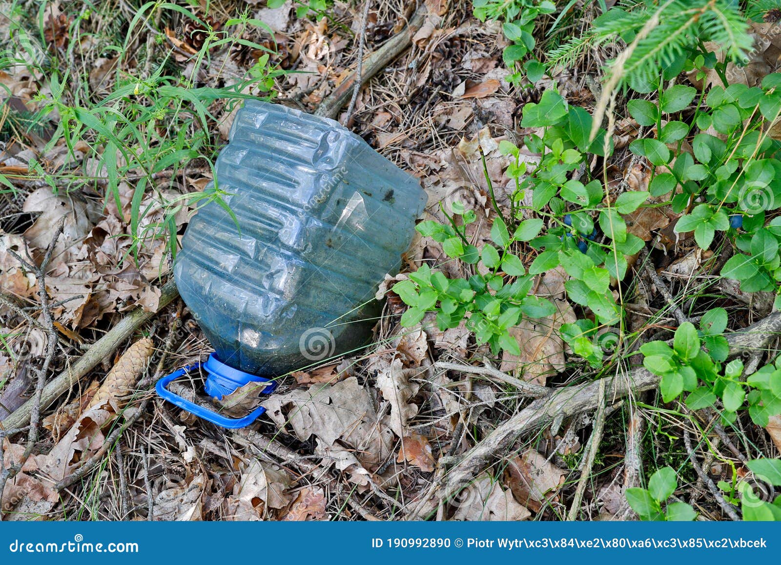 Left Plastic Garbage in the Forest. a Littered Forest in Central Europe ...