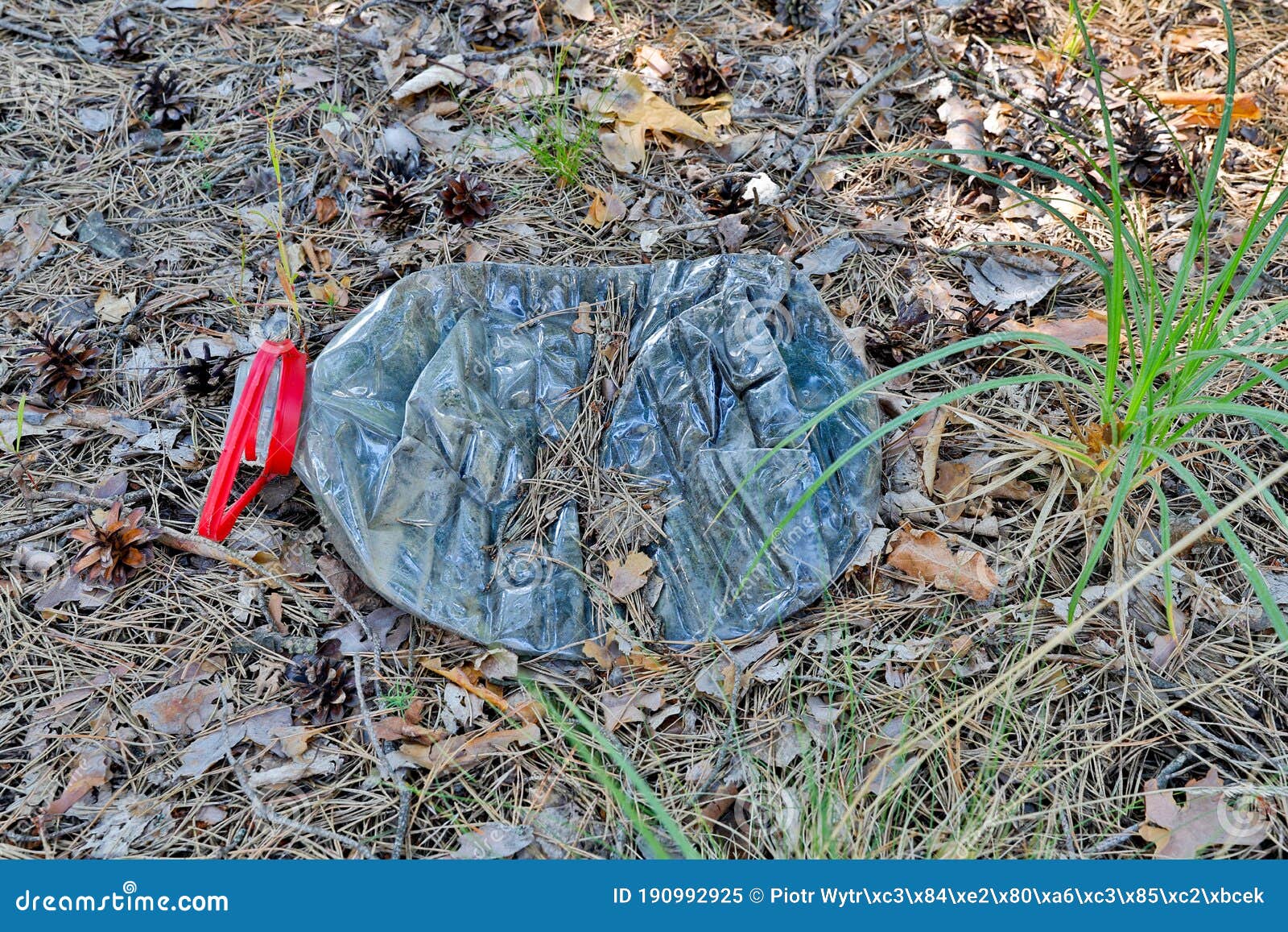 Left Plastic Garbage in the Forest. a Littered Forest in Central Europe ...
