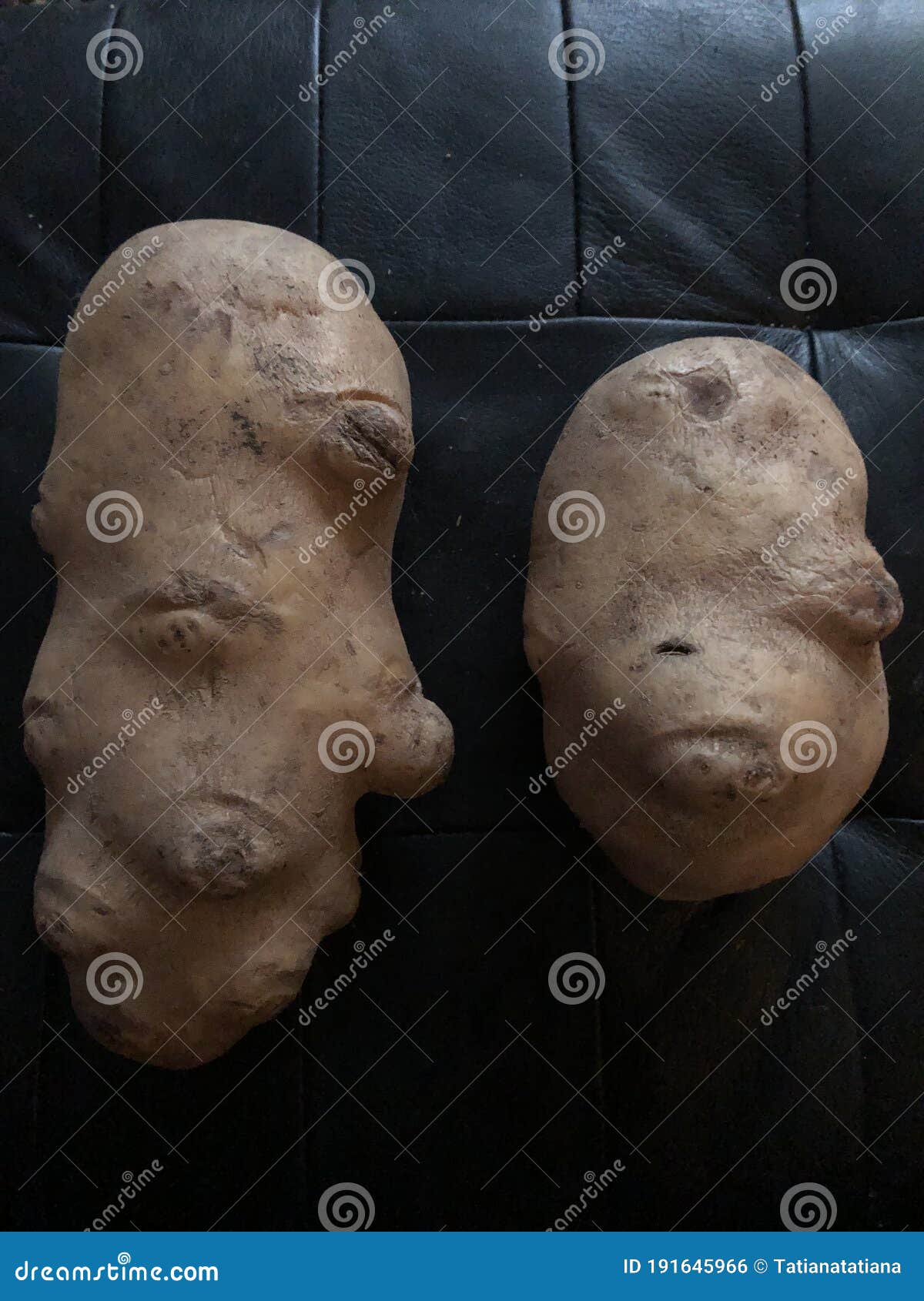 Two potatoes with faces stock photo. Image of right - 191645966