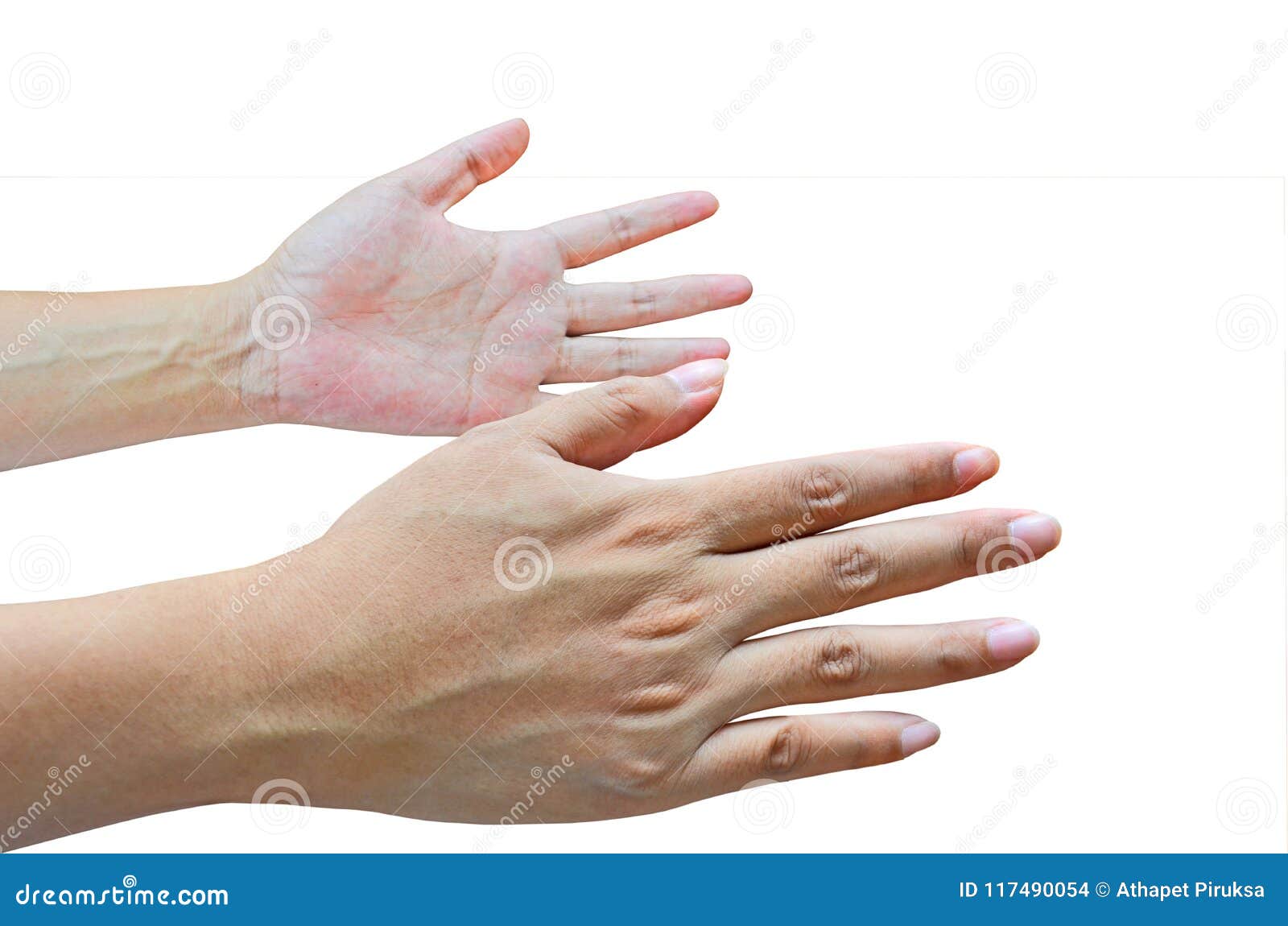 Left and Right Beautiful Hands on White Background Stock Photo - Image ...