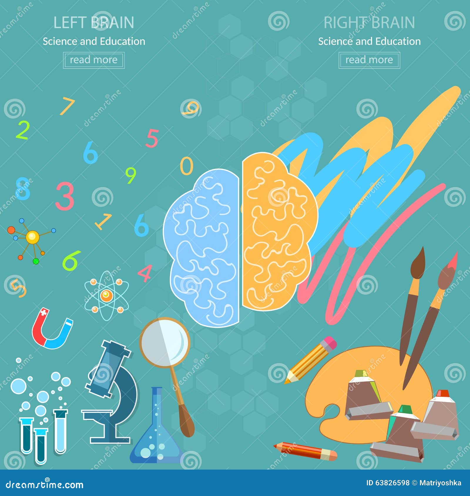 Left and Right Brain Analytical and Creativity Back To School Stock ...