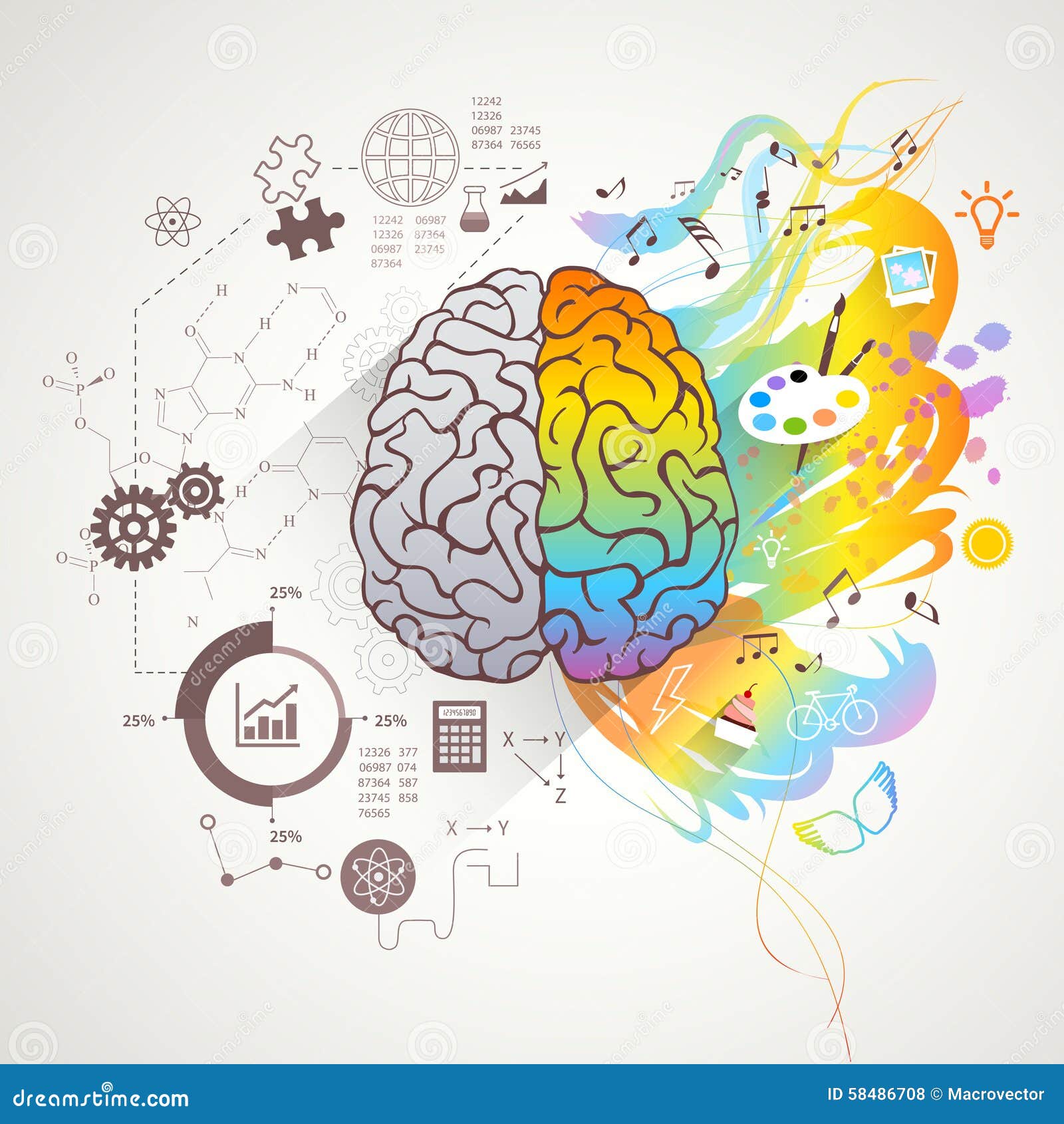 Brain Left And Right Hemispheres Infographics Vector Illustration ... Brain Left And Right Hemispheres Infographics Vector Illustration ...