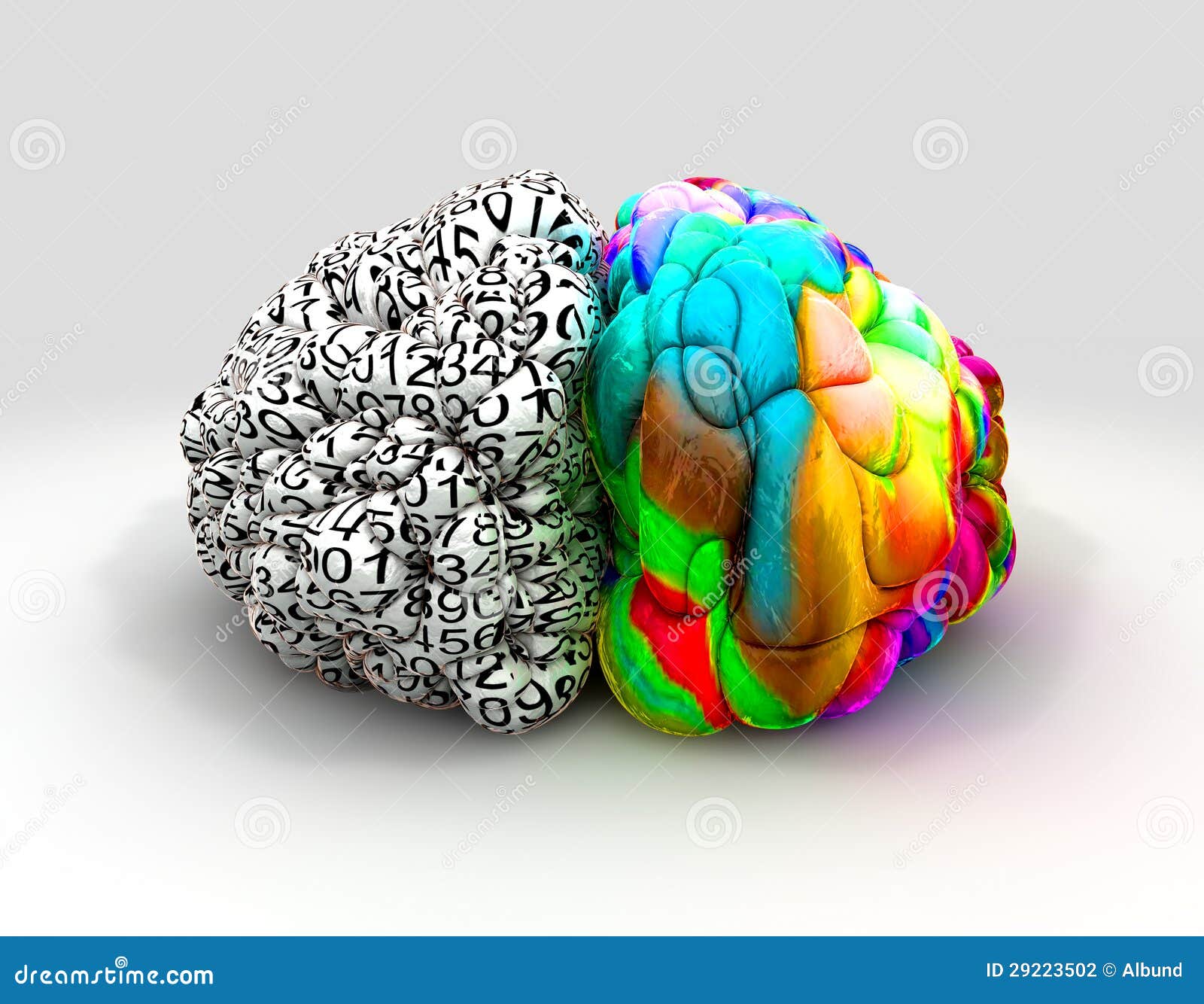 Left and Right Brain Concept Front Stock Illustration - Illustration of ... Left and Right Brain Concept Front Stock Illustration - Illustration of ...