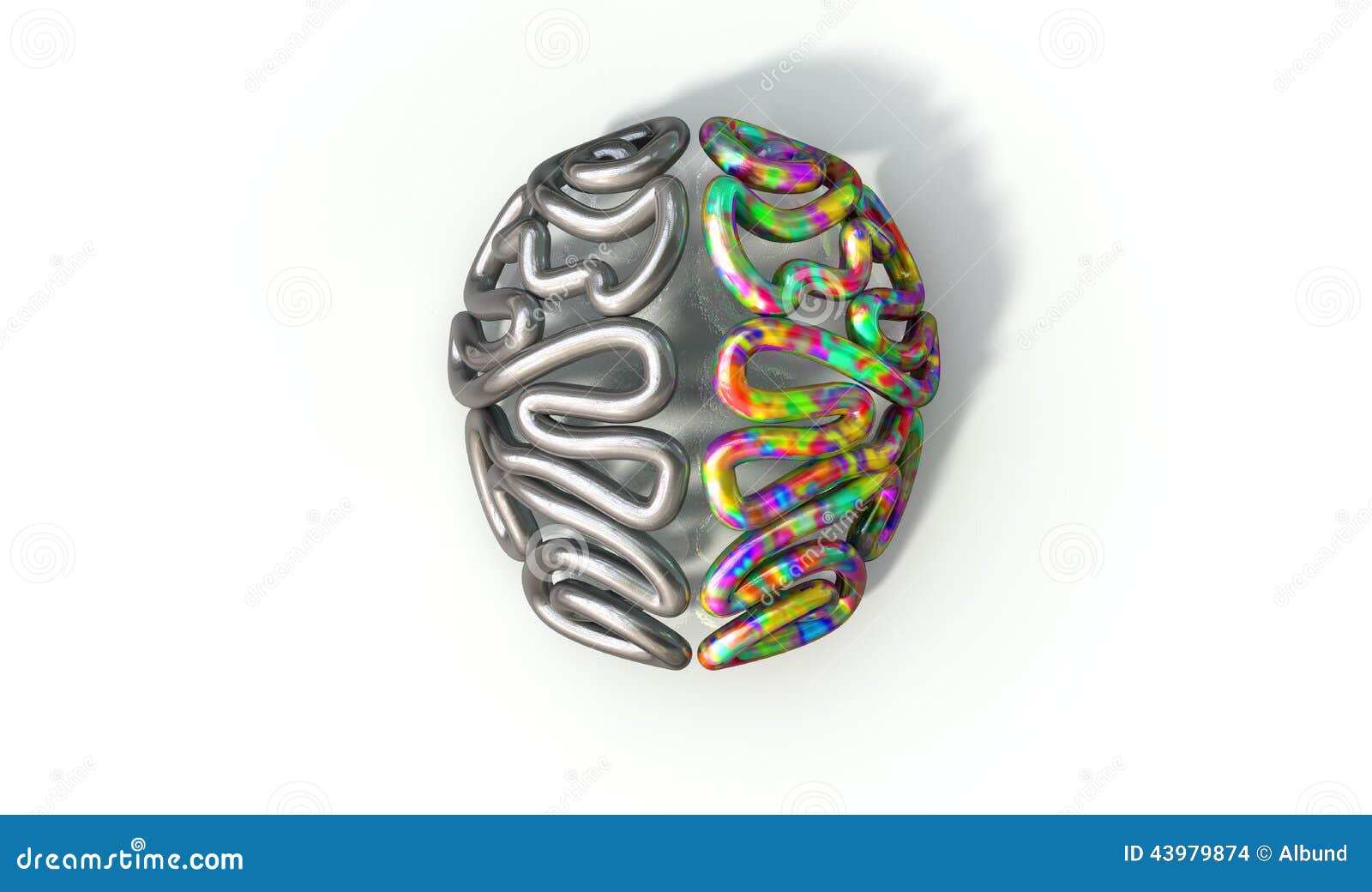 Left and Right Brain Concept Stock Photo - Image of flamboyant ...