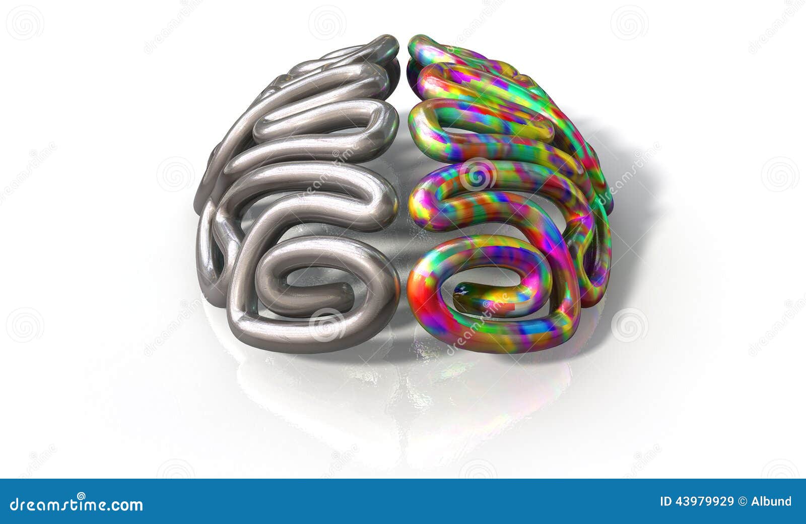 Left and Right Brain Concept Stock Image - Image of exuberant, colorful ...