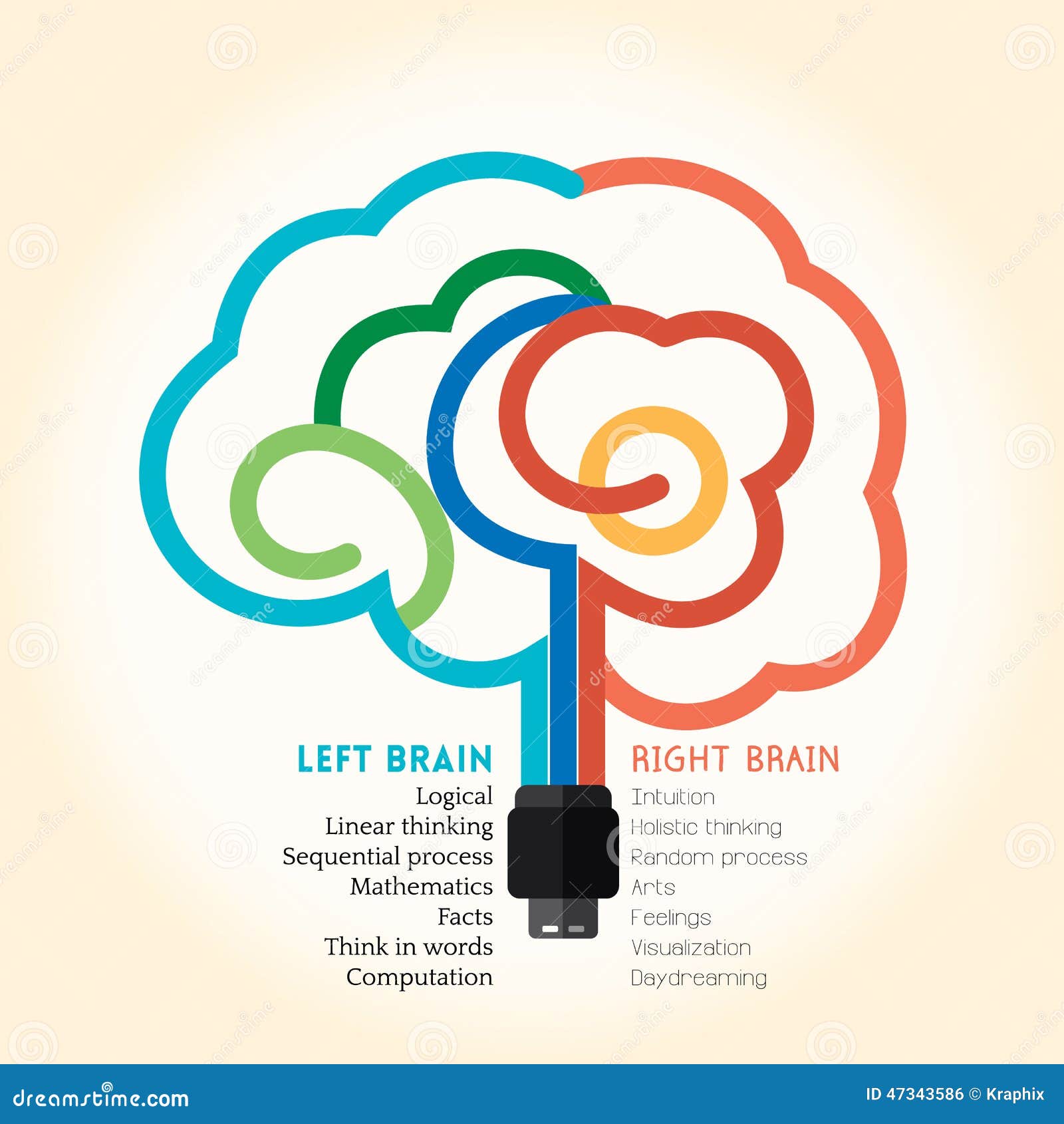 Left Right Brain Function Creative Concept Illustration Stock Vector ... Left Right Brain Function Creative Concept Illustration Stock Vector ...