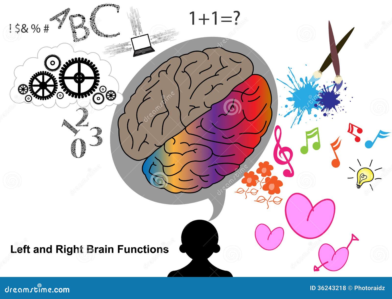 Left and Right Brain Function Stock Vector - Illustration of inside ... Left and Right Brain Function Stock Vector - Illustration of inside ...