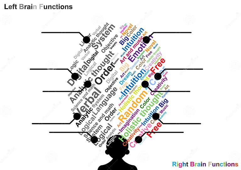 Left and Right Brain Function Stock Vector - Illustration of human ...