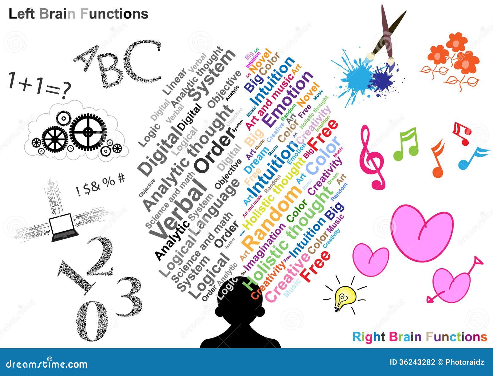 Left and Right Brain Function Stock Vector - Illustration of idea ... Left and Right Brain Function Stock Vector - Illustration of idea ...