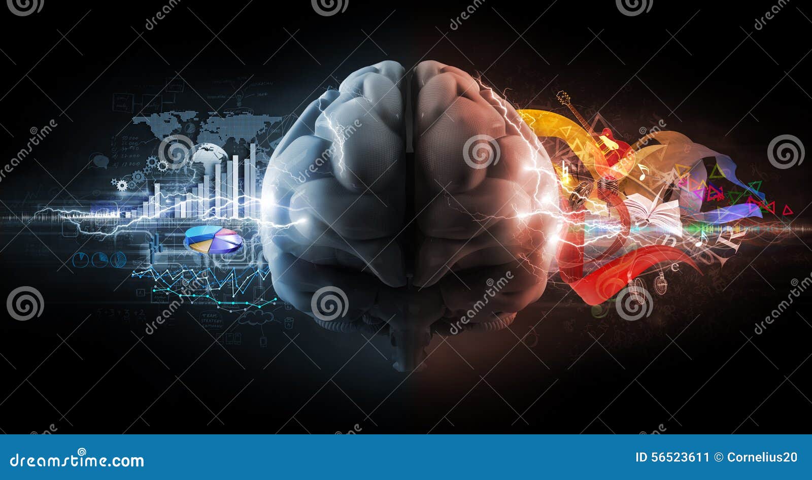 Brain Functions Chart Cartoon Vector | CartoonDealer.com #125548555