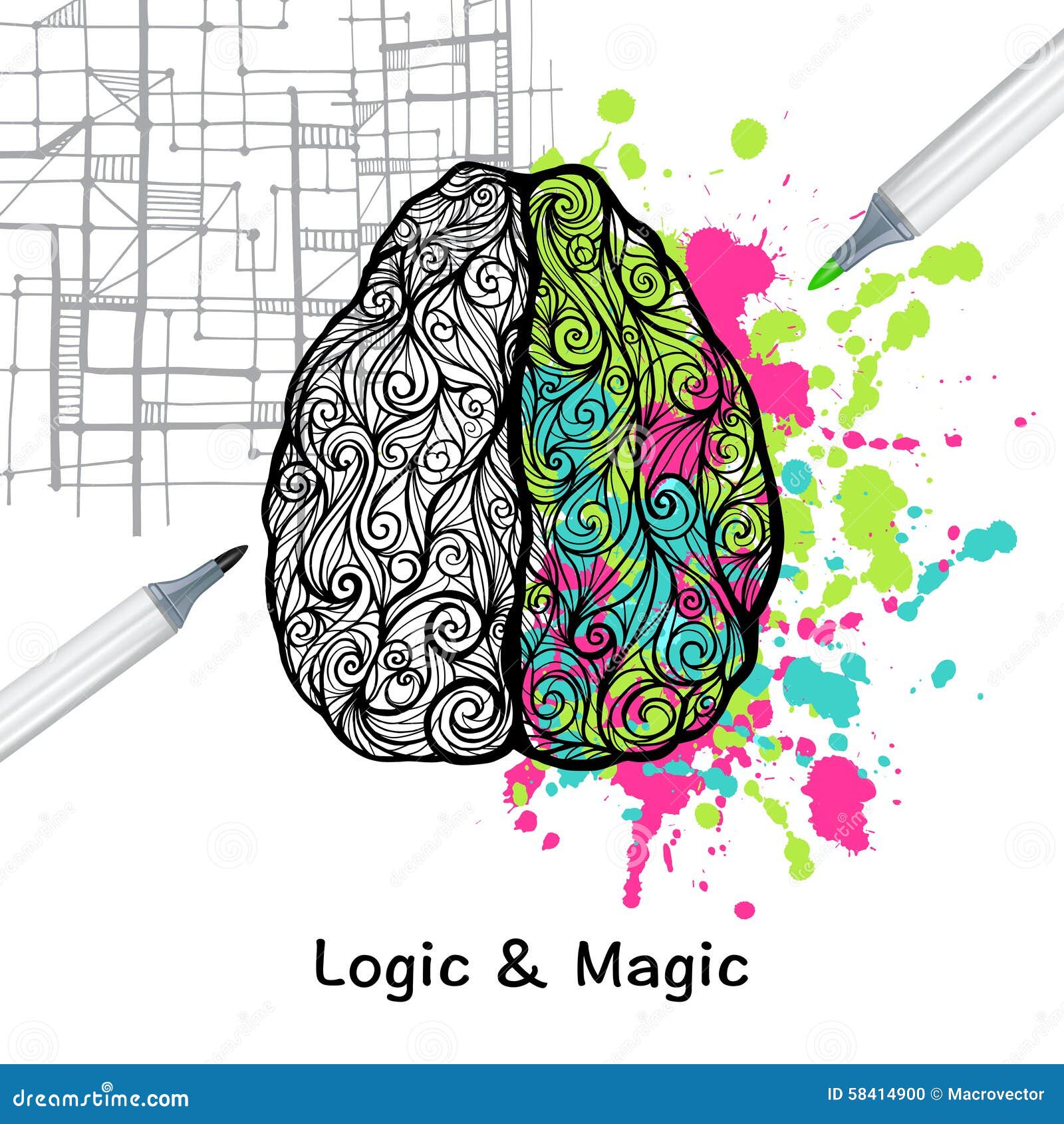 Left And Right Brain Vector