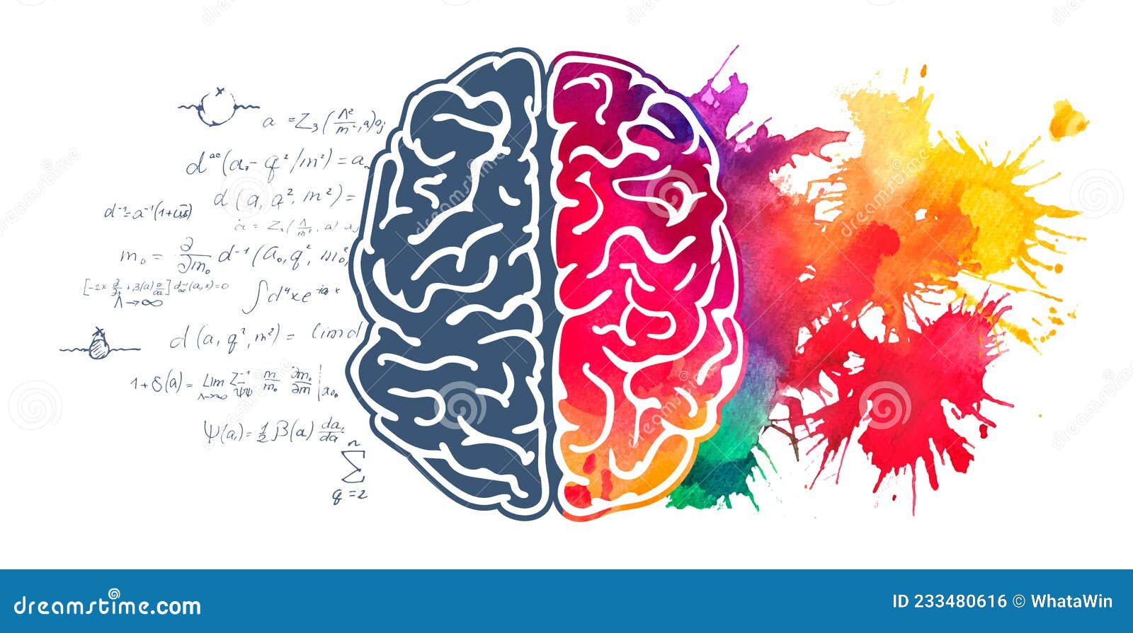 Left and Right Hemisphere of Human Brain Watercolor Illustration Stock ...
