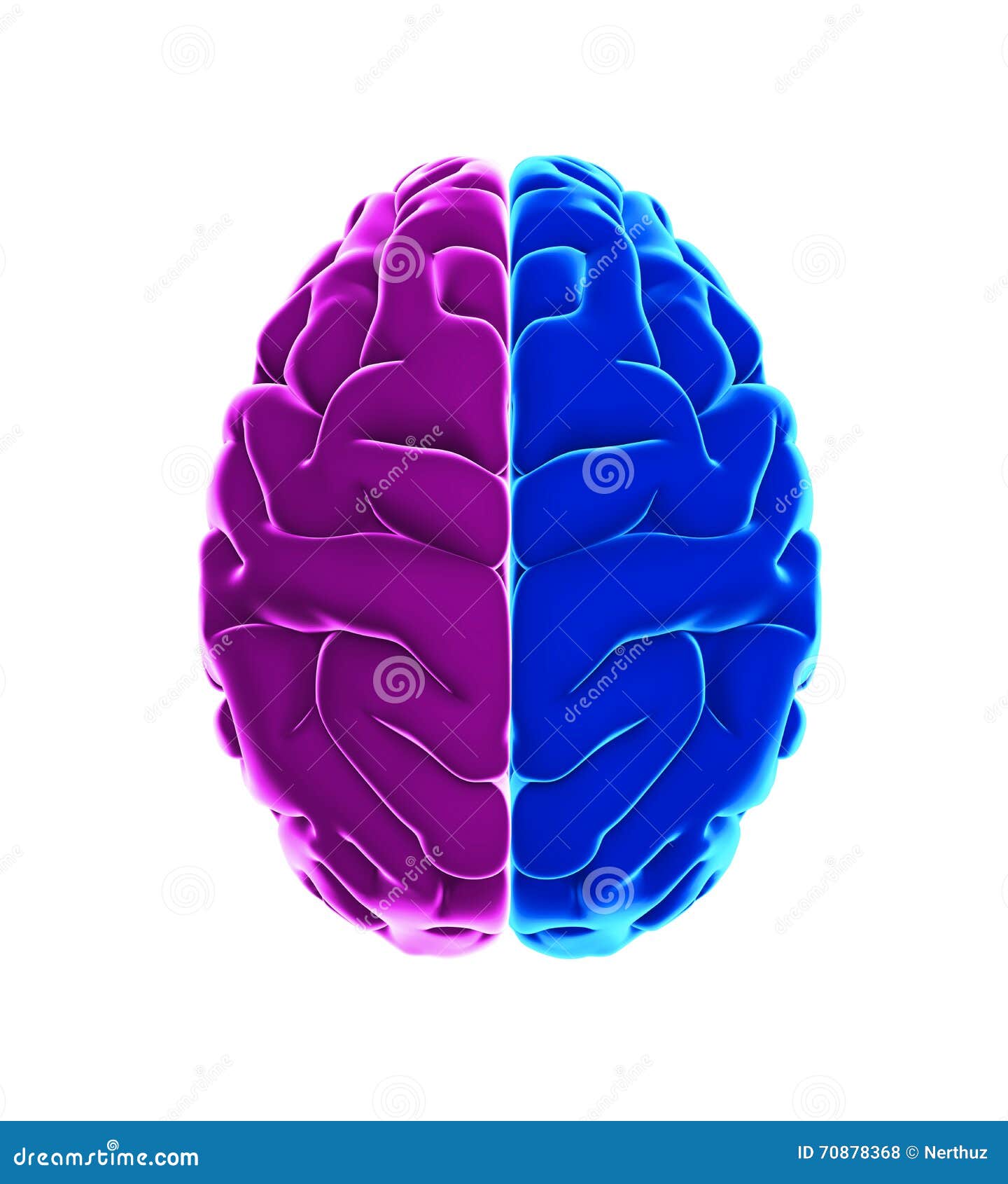 Left and Right Human Brain stock illustration. Illustration of creative ...