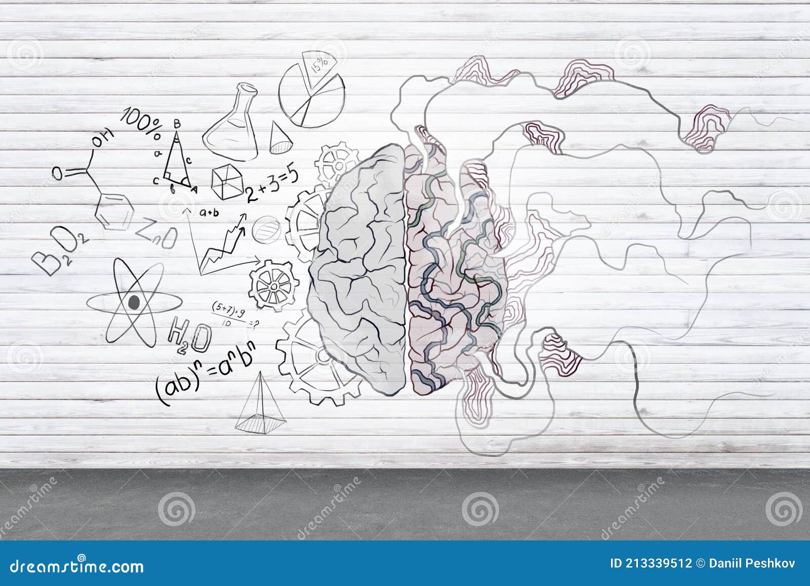 Left And Right Human Brain Concept With Brain Hemispheres, Maths ...