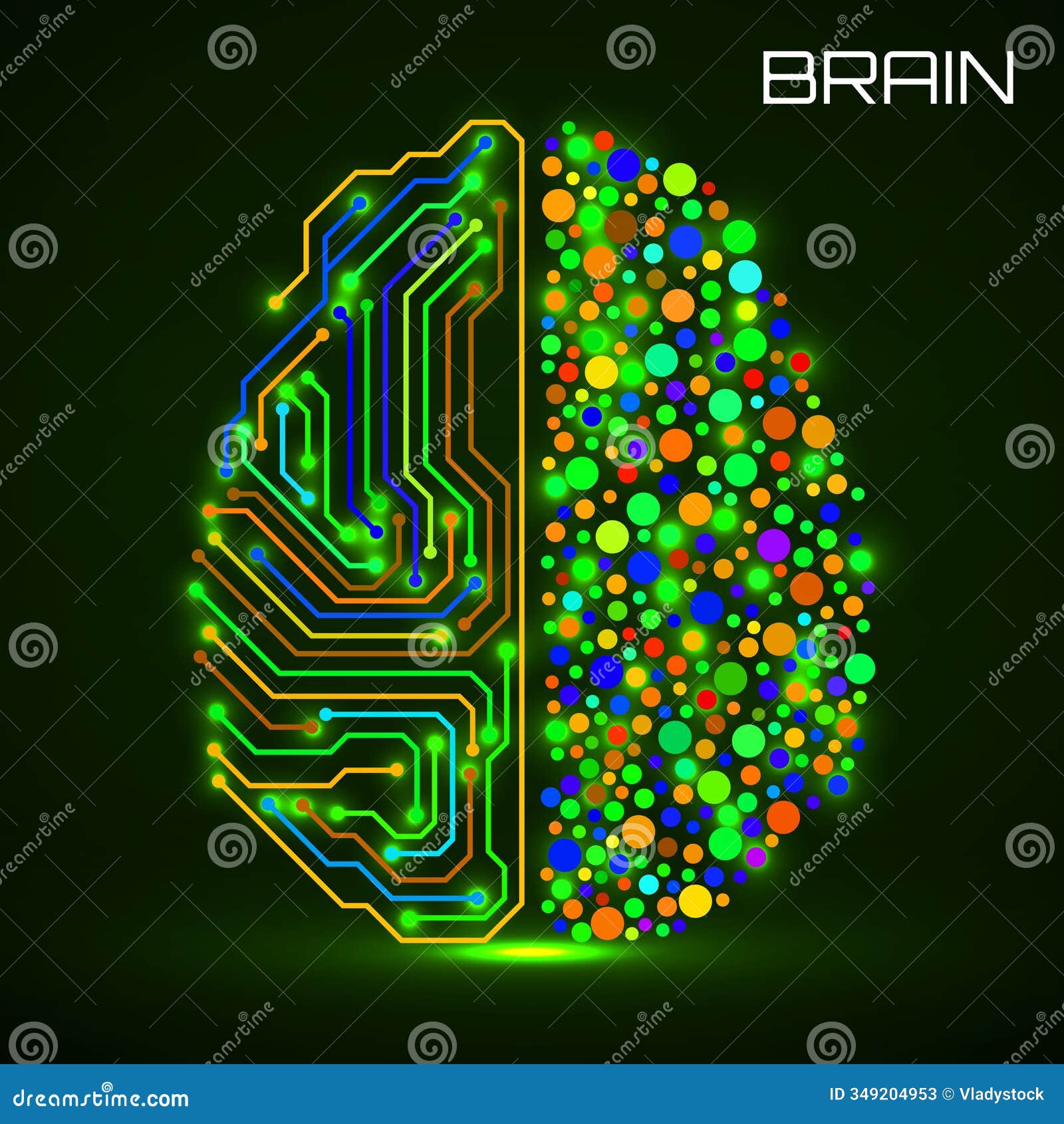 Left Right Human Brain Concept. Logic Part and Creative Part Stock ...