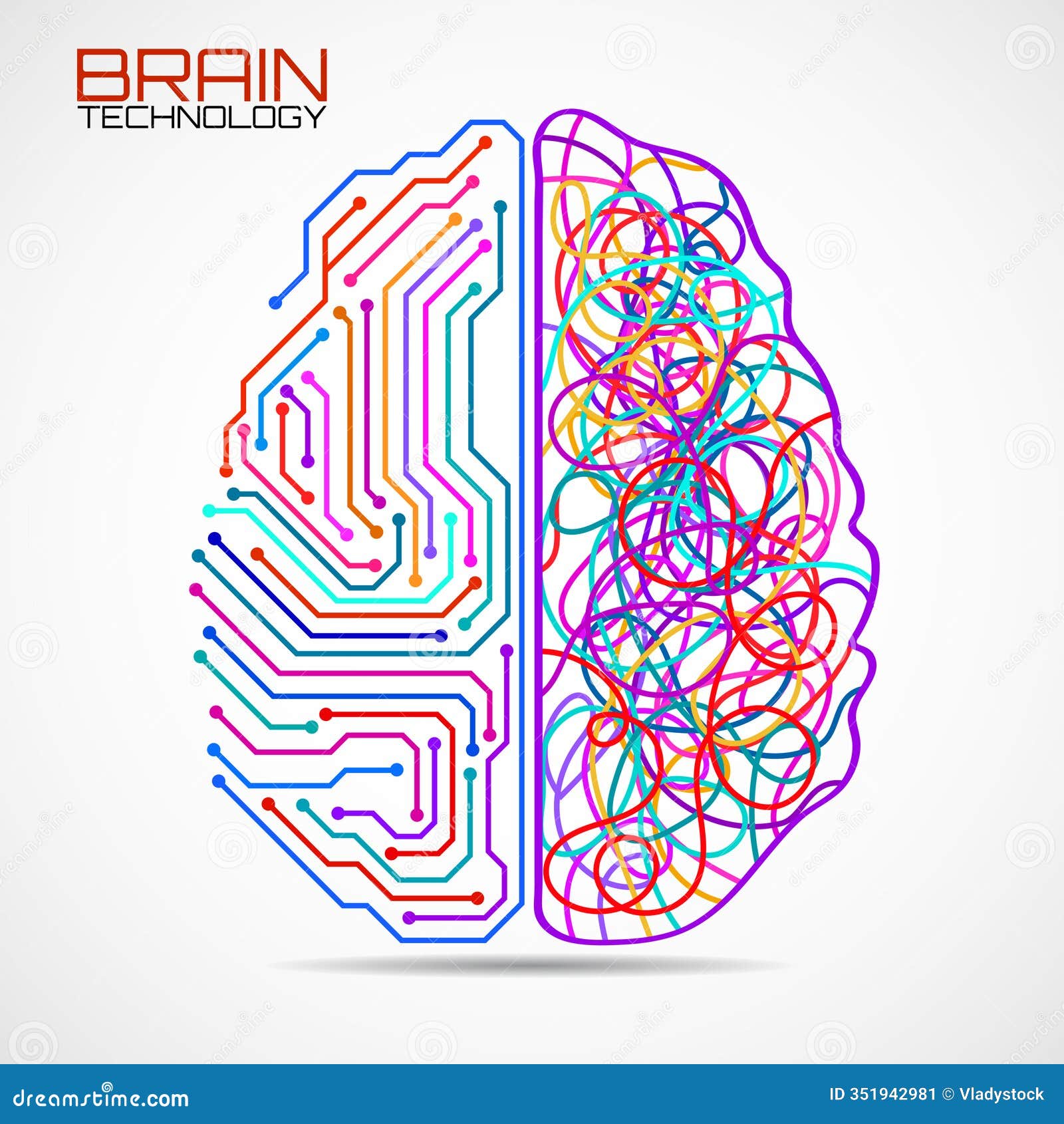Left Right Human Brain Concept. Logic Part and Creative Part Stock ...