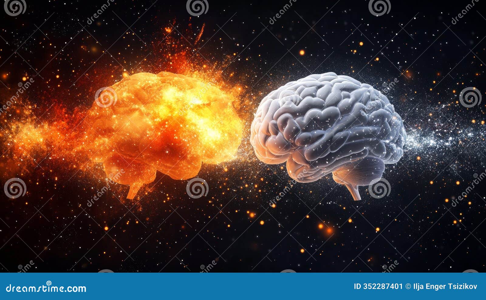 Creative And Logical Hemispheres Of Human Brain, Concept Of Different ...