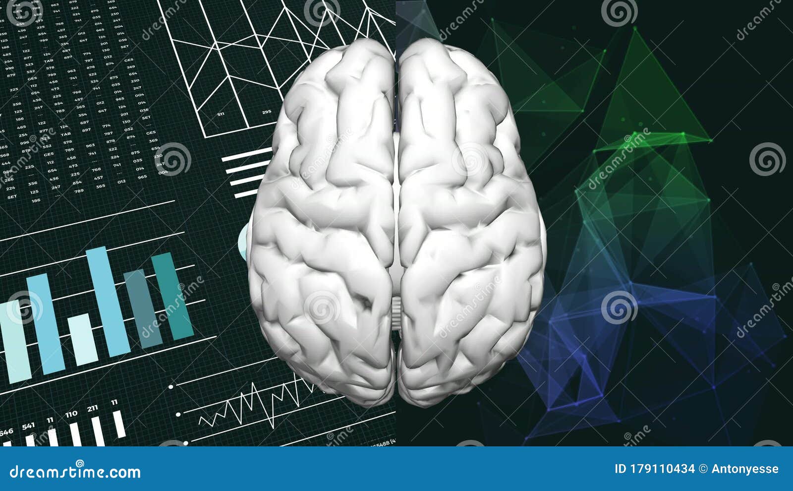 Left and Right Human Brain Partition Concept. Logic Hemisphere and ...