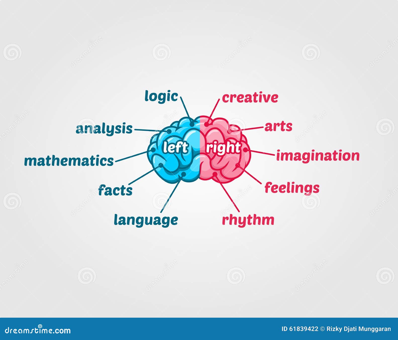 Left and Right Human Brain stock vector. Illustration of intelligence ...