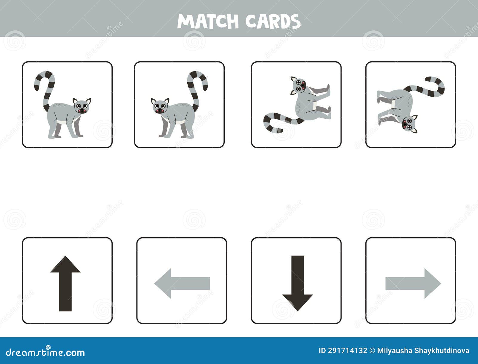 Left, Right, Up or Down. Spatial Orientation with Cute Gray Lemur ...