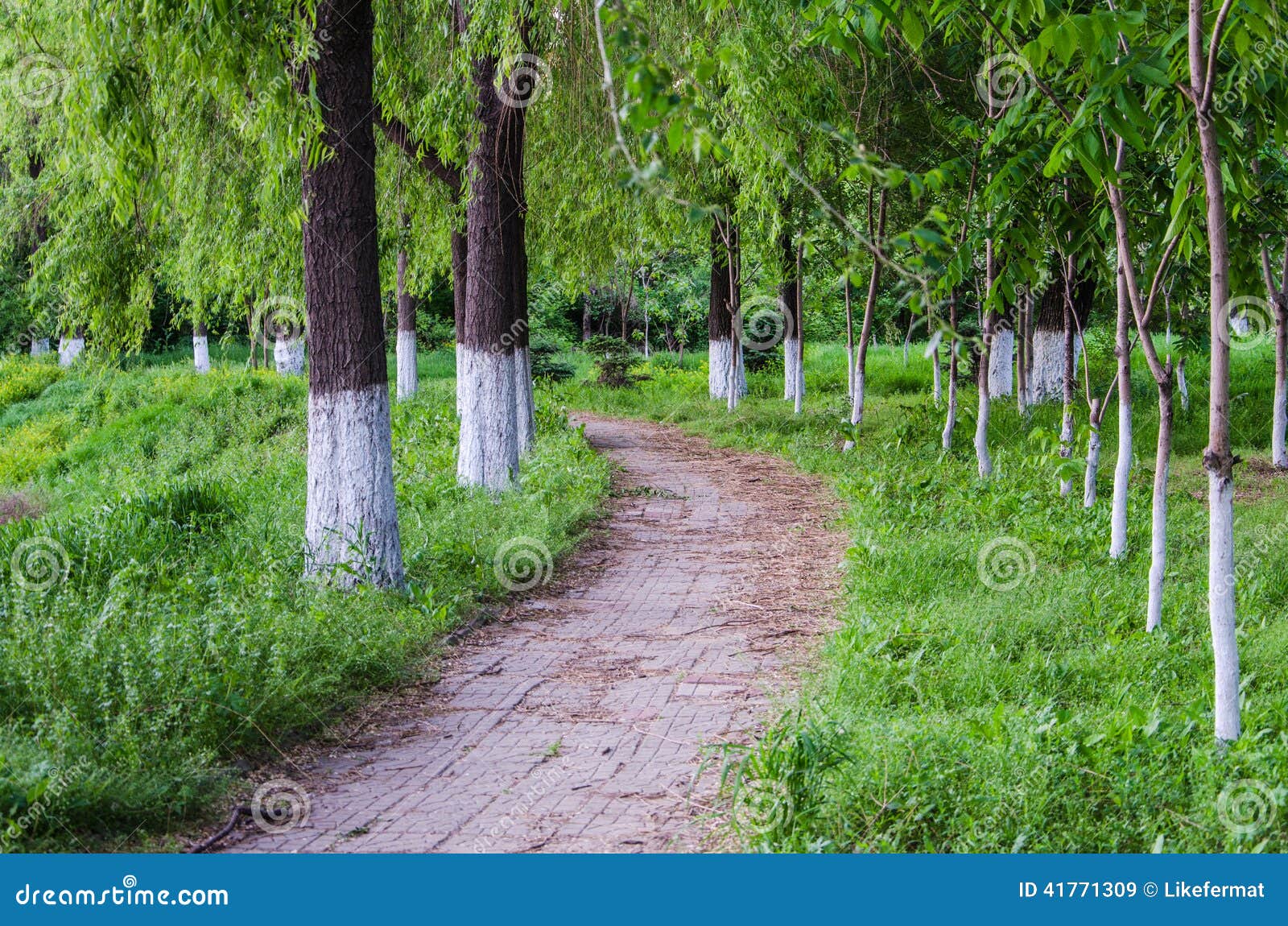 Left turn corner stock image. Image of aisle, corn, direction - 41771309