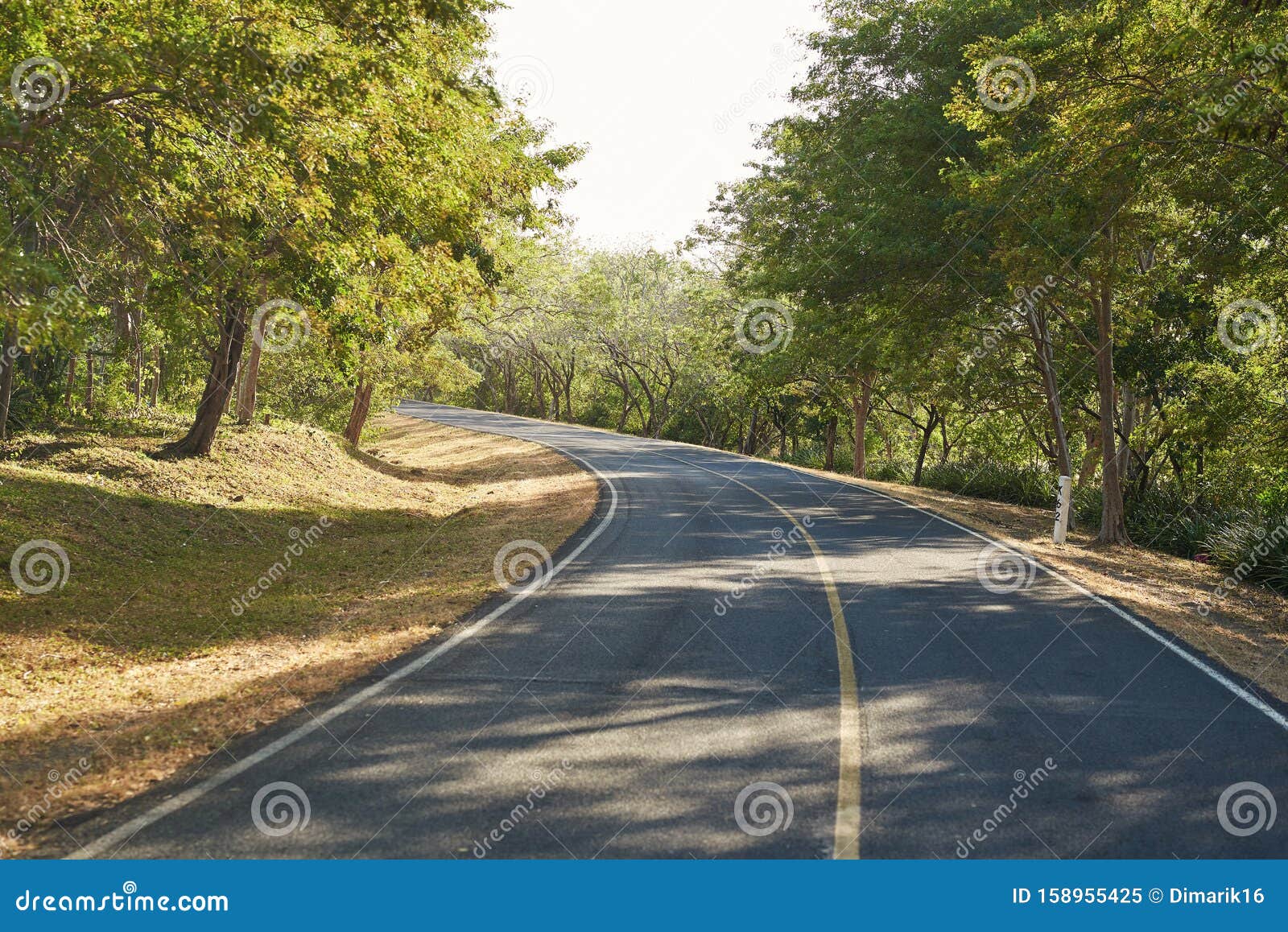 Left turn on country road stock image. Image of horizon - 158955425