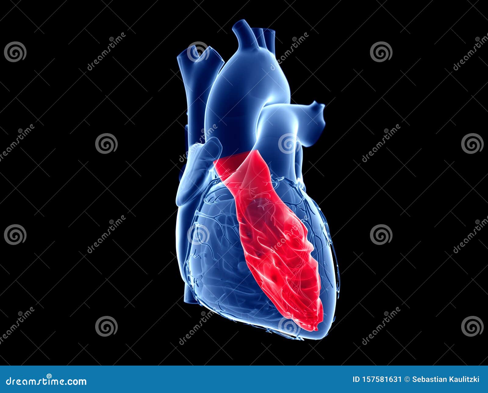The left ventricle stock illustration. Illustration of rendering ...
