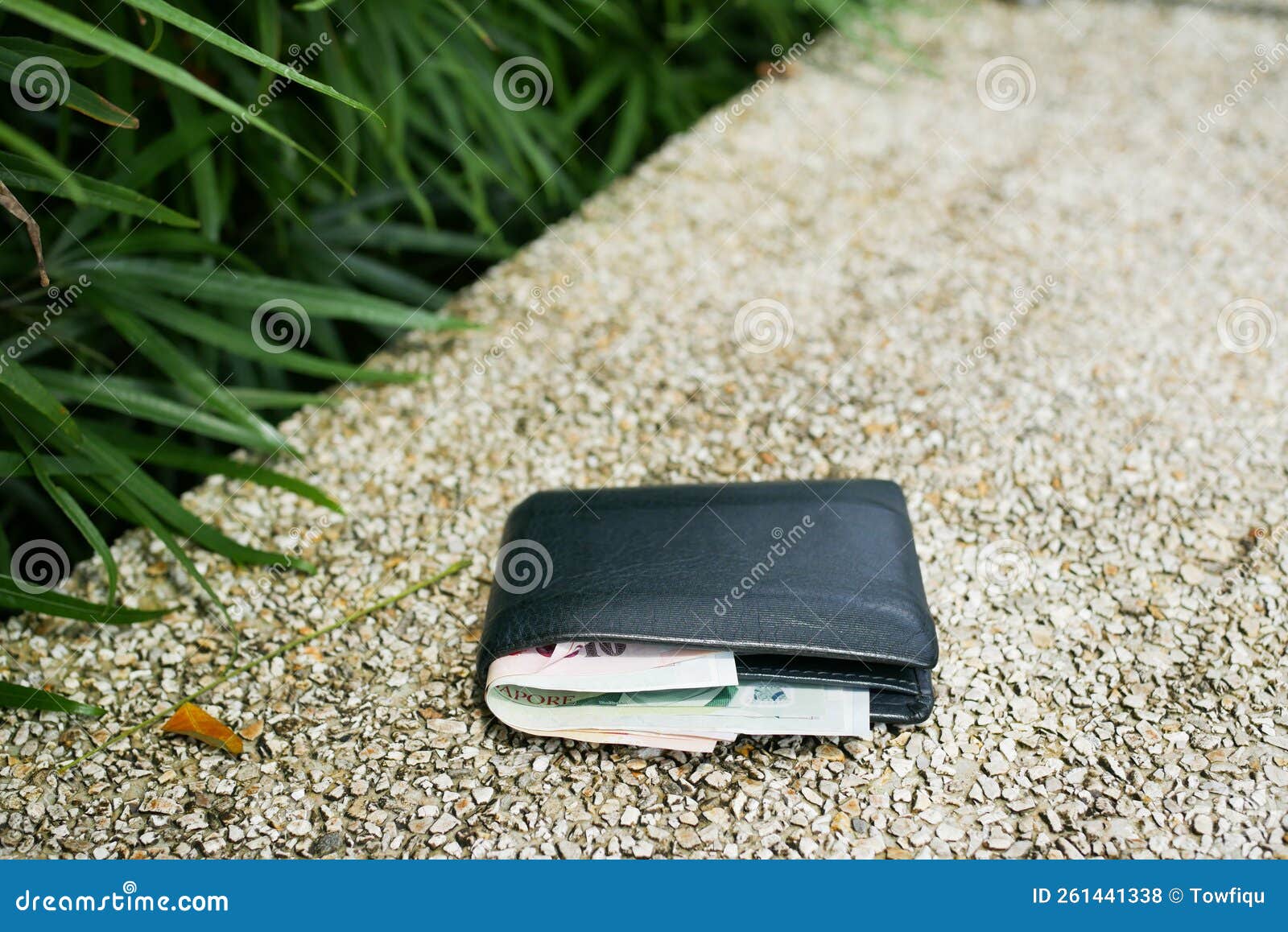 Left Wallet on a Bench in the Park Stock Photo - Image of wealth ...