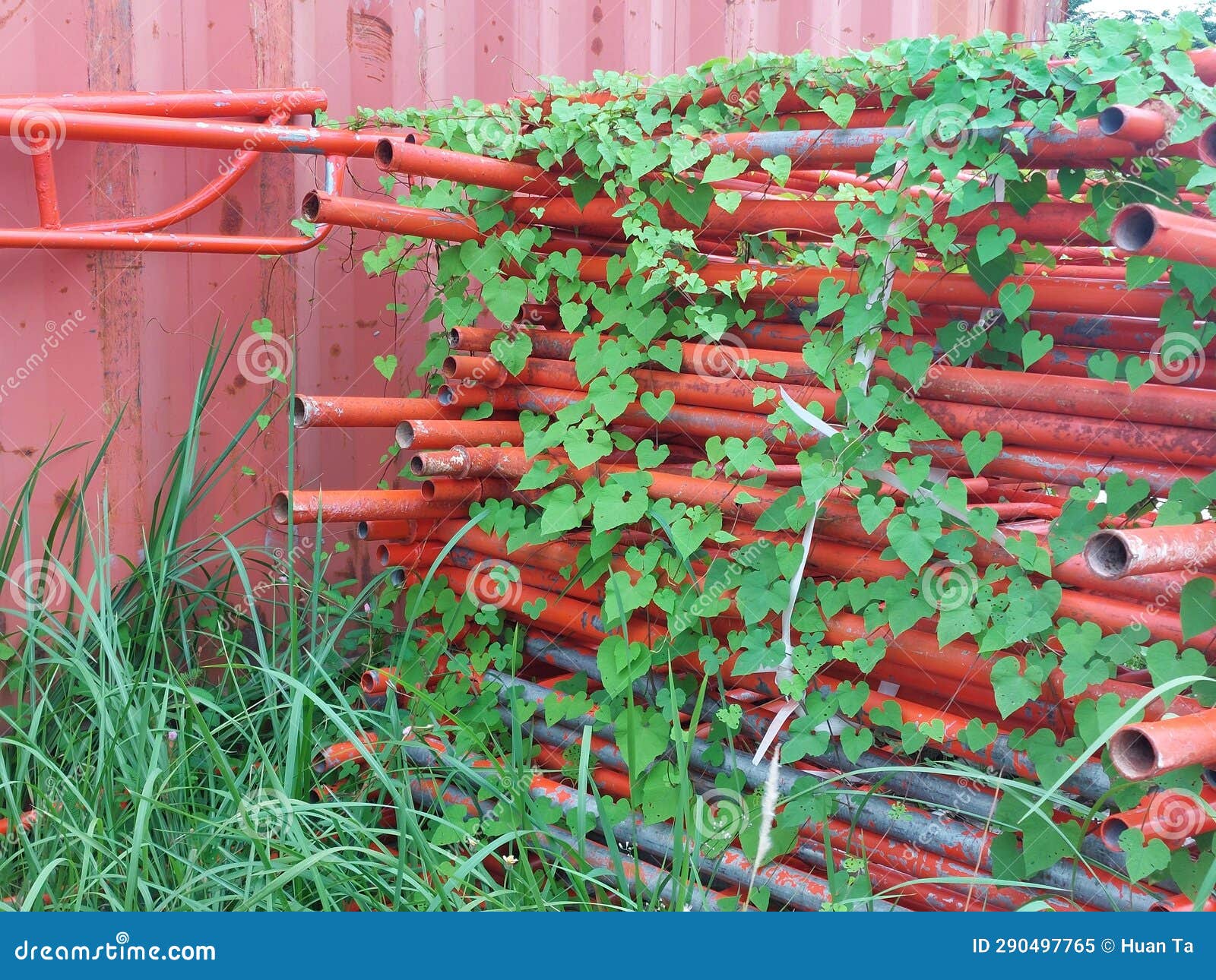 Leftover, Scrap Metal with Overgrown Stock Image - Image of vines, pipe ...