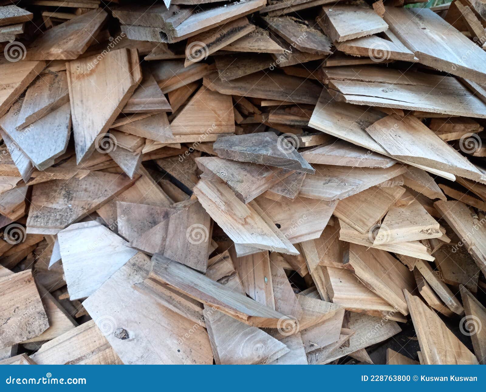 Leftover wood processing stock photo. Image of botanical - 228763800