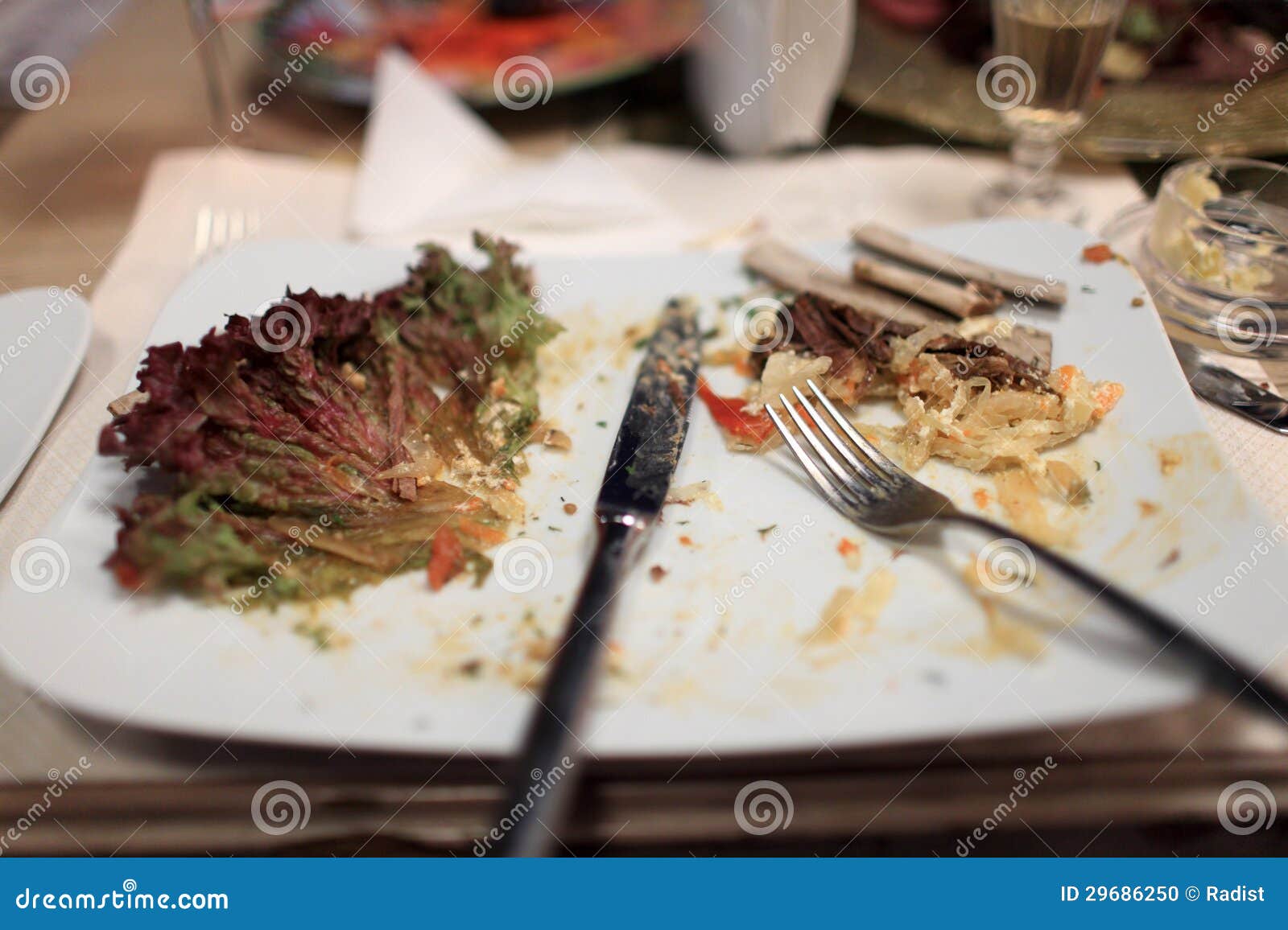 Leftovers on a white plate stock photo. Image of meat - 29686250