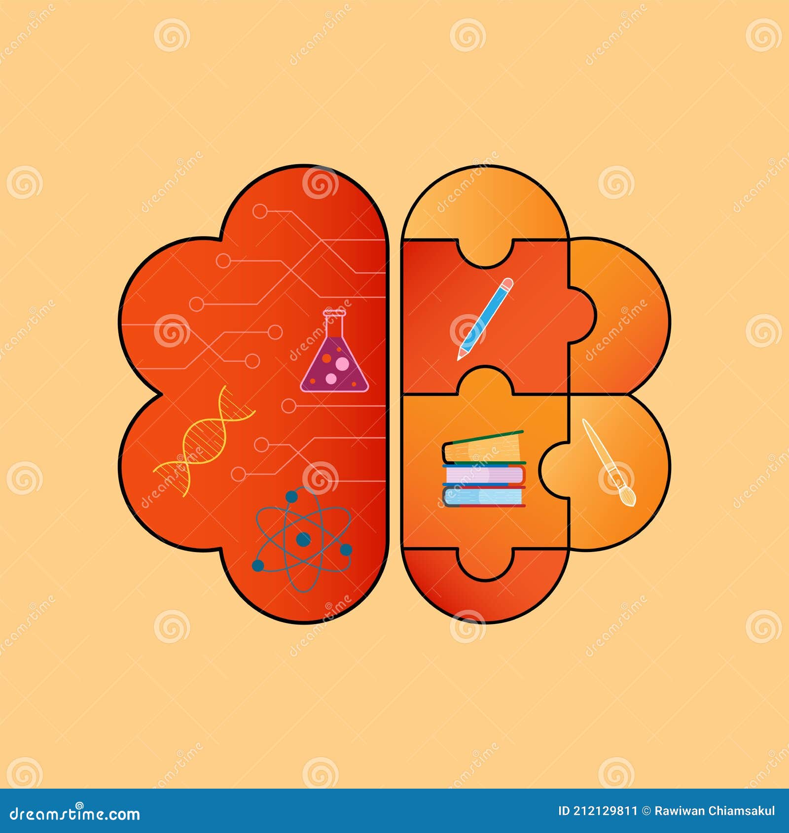 Left Right Brain Function stock vector. Illustration of book - 212129811