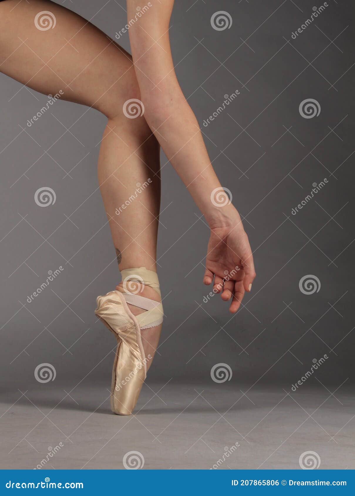 Ballet foot 5 stock photo. Image of foot, ballet, tatto - 207865806