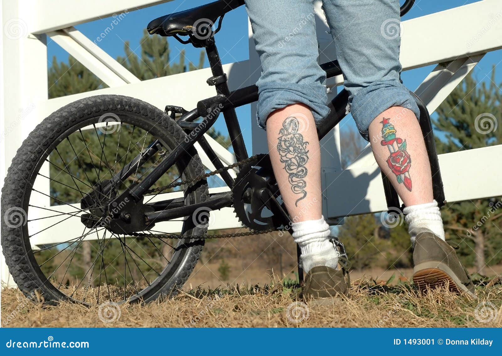 Leg Art stock image. Image of looking, showing, fence - 1493001