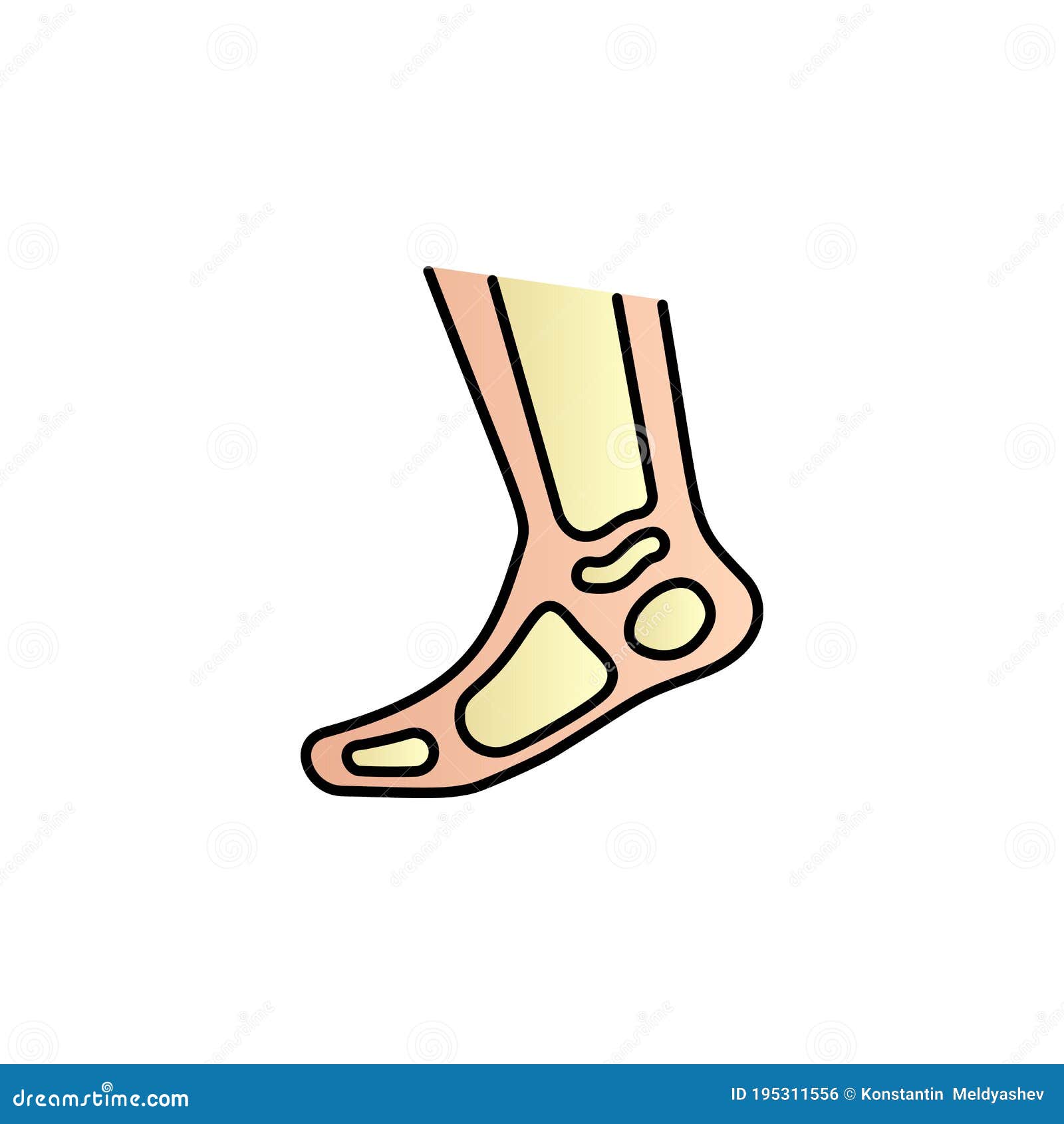 Leg, Bone Color Gradient Vector Icon Stock Illustration - Illustration ...