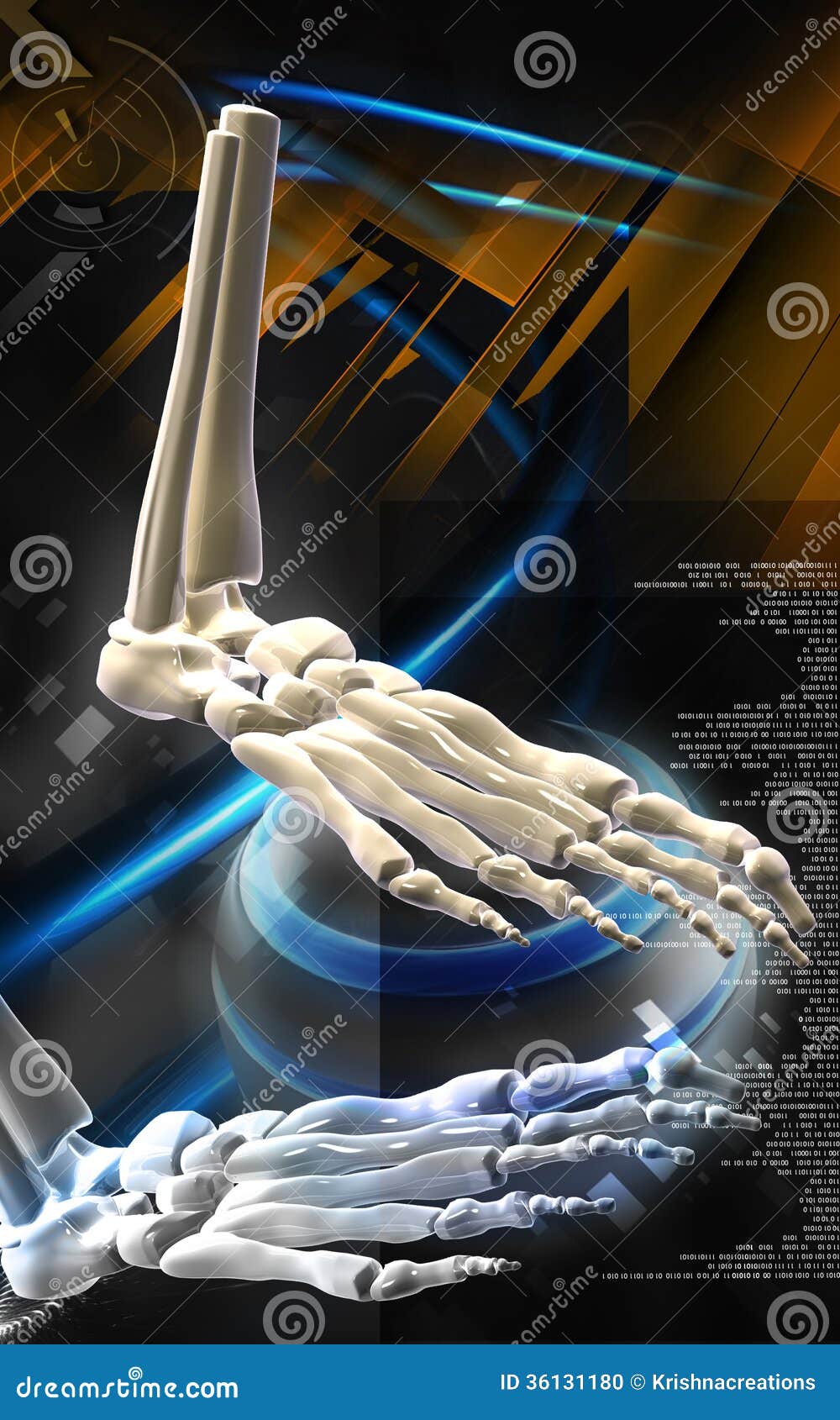 Leg bone stock illustration. Illustration of texture - 36131180