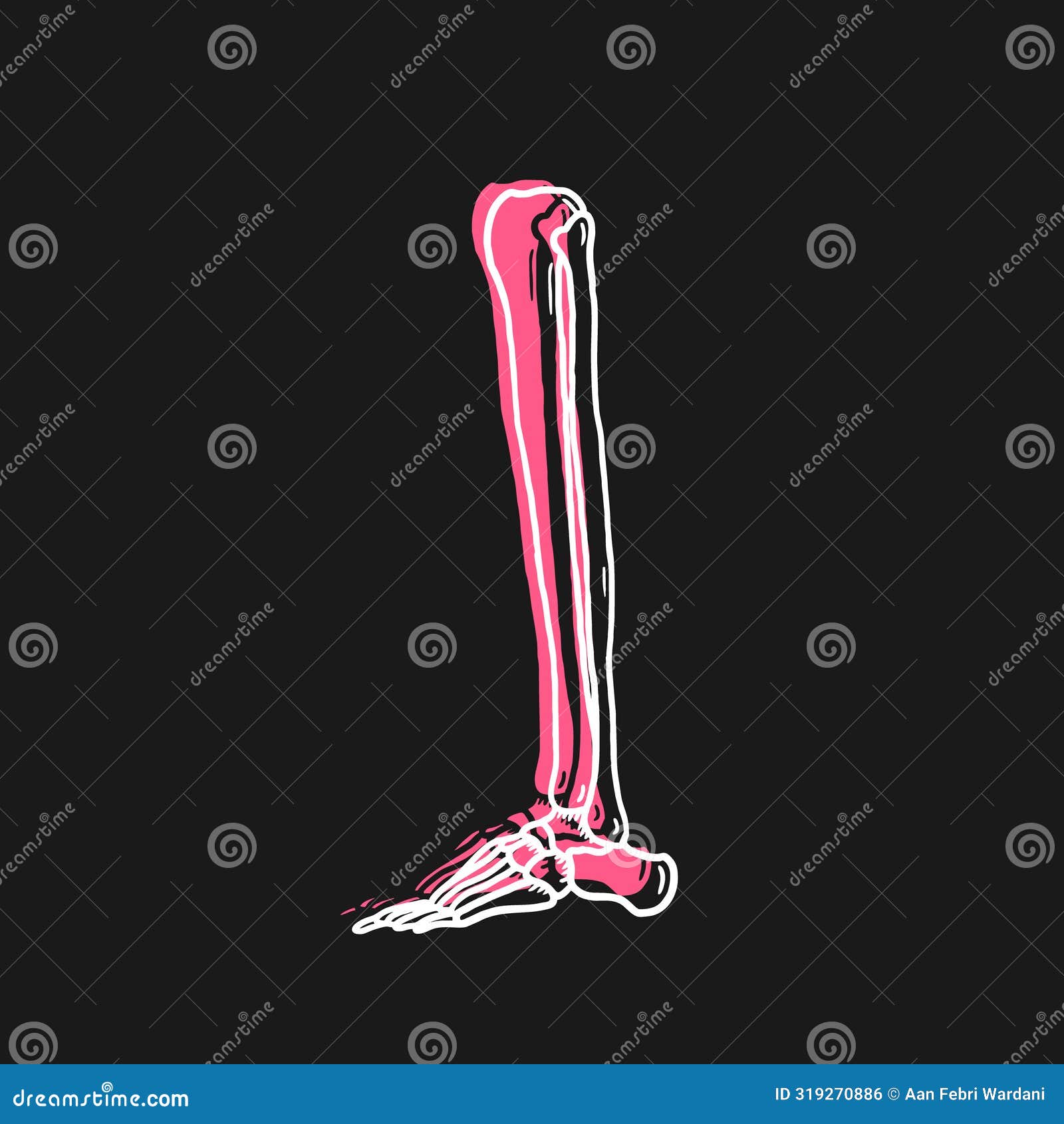 Leg Bone Skeleton Vector Illustration Stock Illustration - Illustration ...
