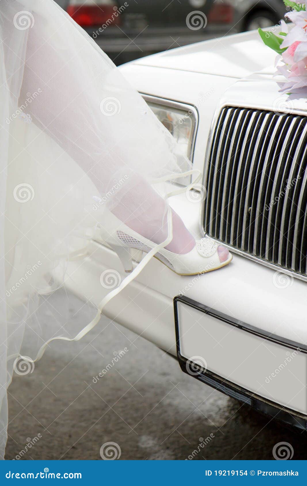 Leg of the bride stock photo. Image of color, beauty - 19219154