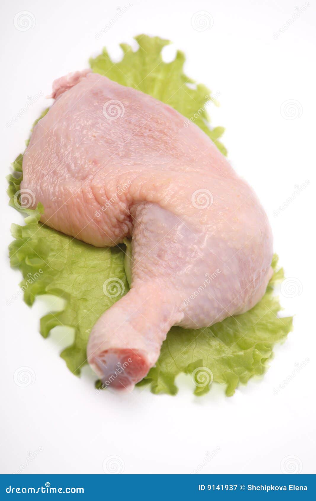 Leg of a chicken stock image. Image of fresh, greens, meat - 9141937
