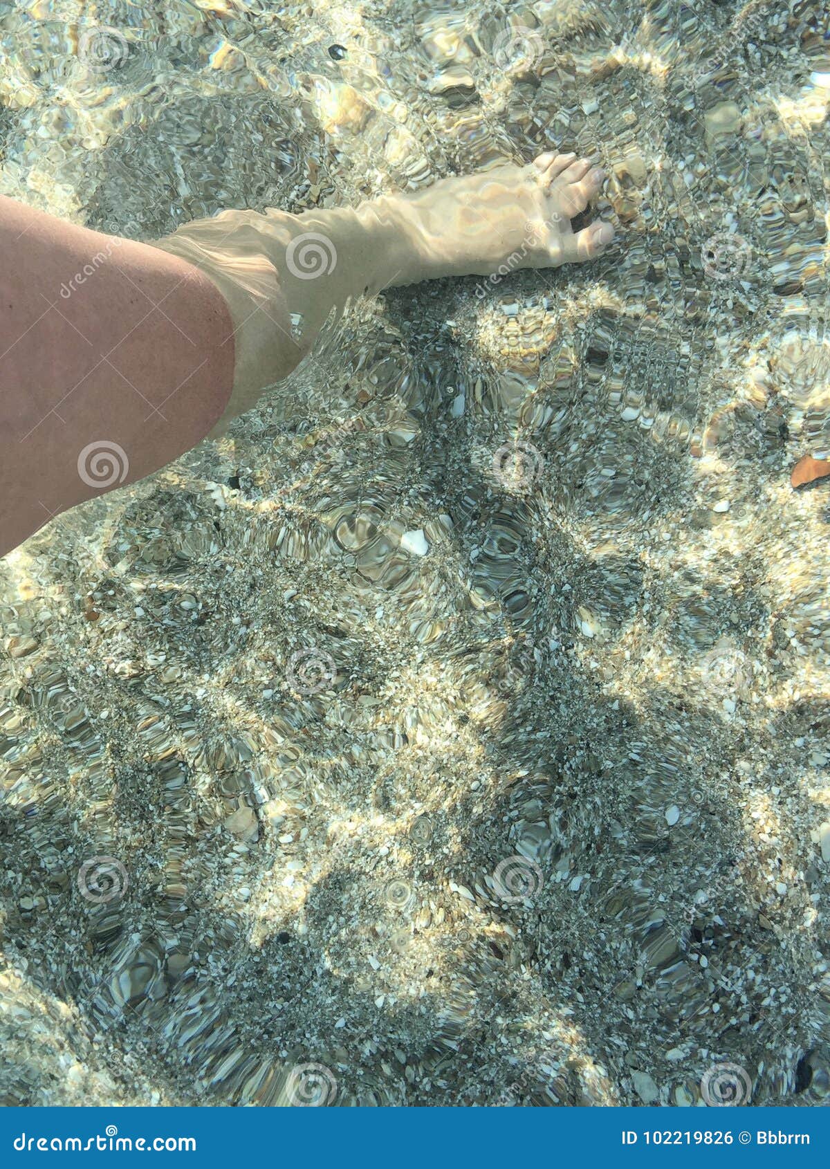Leg in sea stock photo. Image of cool, copy, abstract - 102219826
