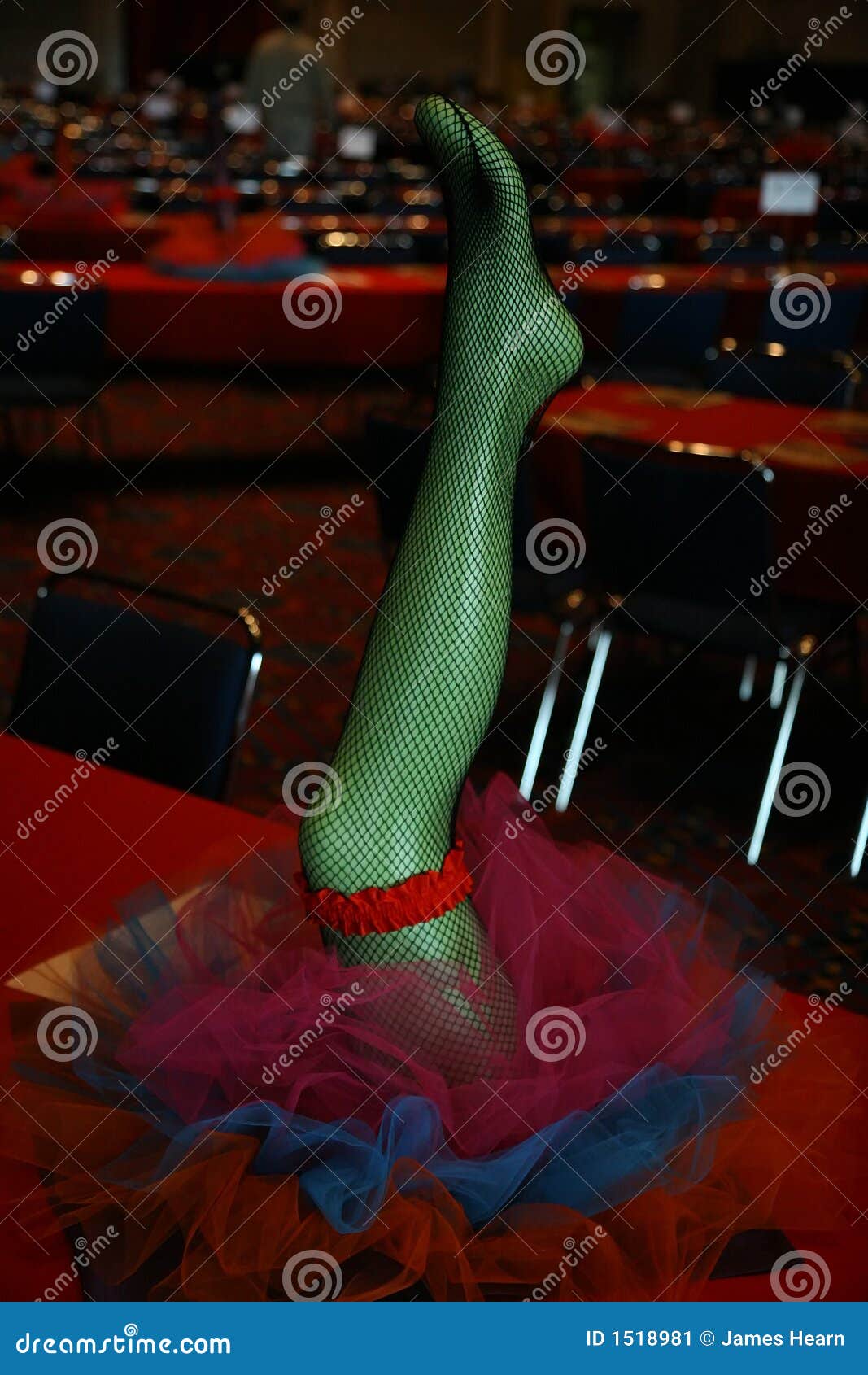 Leg decoration stock image. Image of tulle, moulin, paris - 1518981